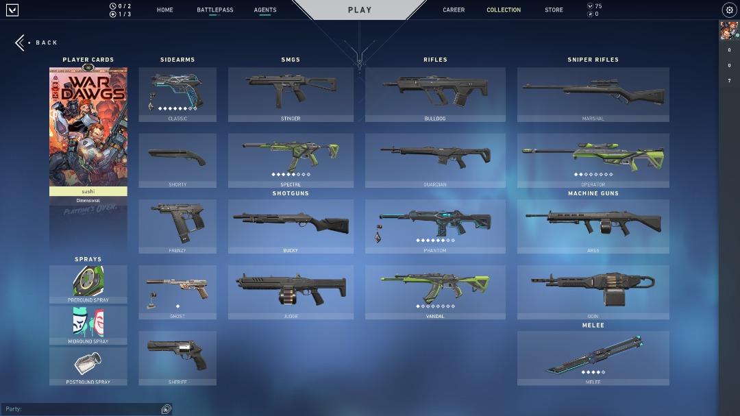 RGX 2.0 Bundle + RGX Vandal Valorant Account, Video Gaming, Gaming ...