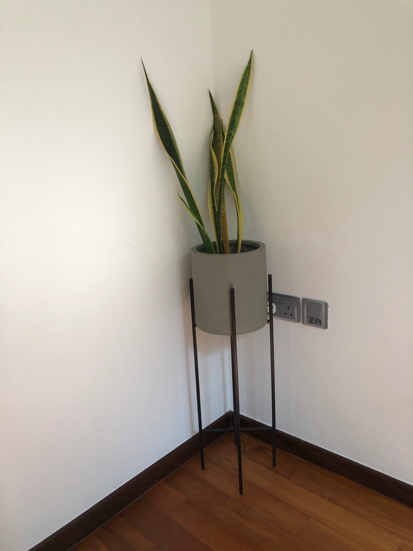 Tumbleweed Standing Planter, Furniture & Home Living, Gardening, Pots ...