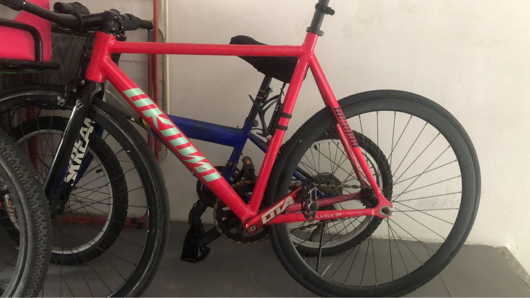 WTS/WTT unknown frameset( tags: constantine, fixie, fixed gear, skream ...