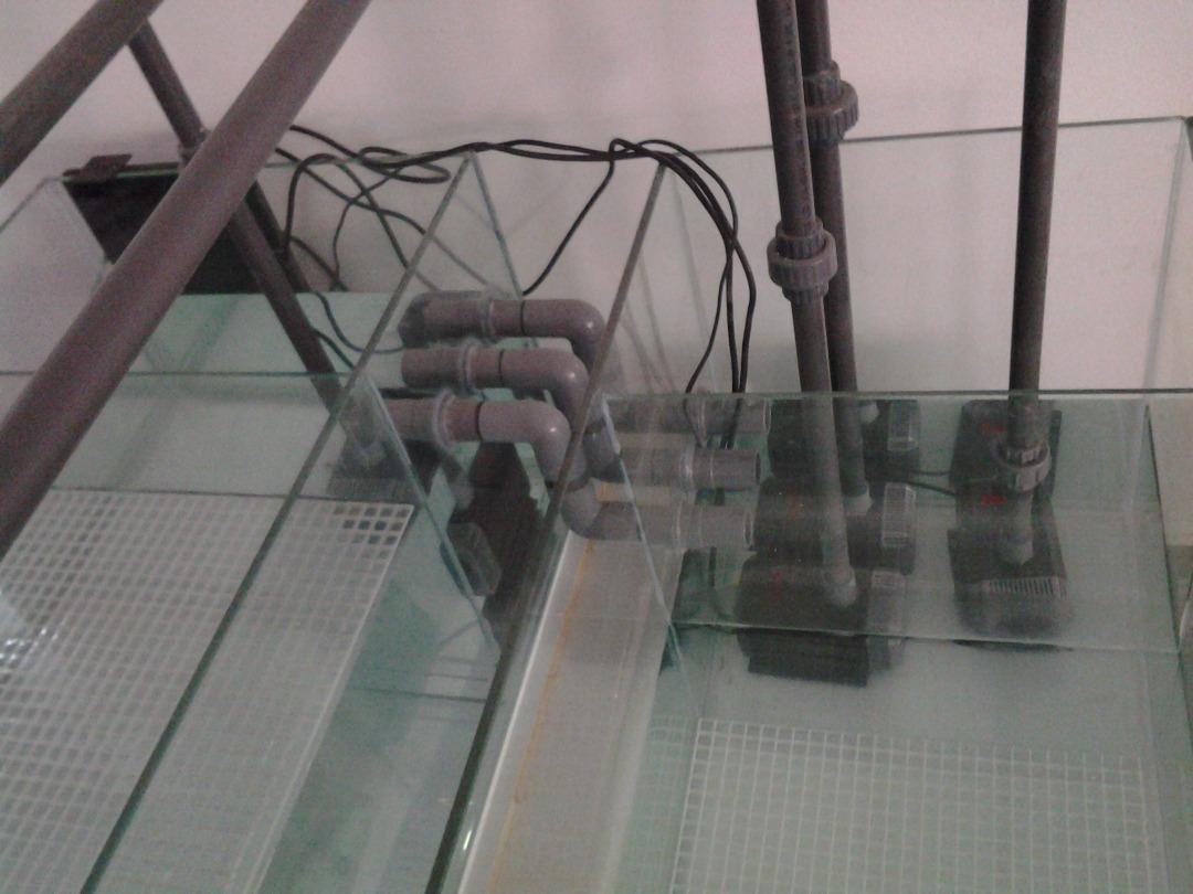 10ft Cabinet Fish Tank (Plug & Play Aquarium with dual Sump), Pet ...