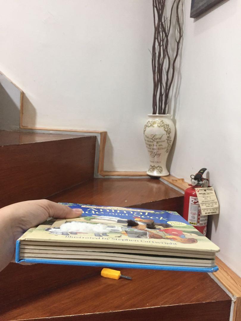 Animal hide and seek, Hobbies & Toys, Books & Magazines, Children's ...