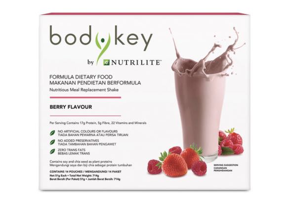 Nutrilite BodyKey Meal Replacement, Health & Nutrition, Health ...