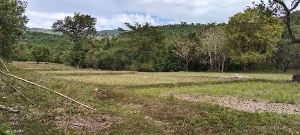 Tanay Rizal Lot 16 Hectares P350 per sqm. NET Clean Title, Property ...