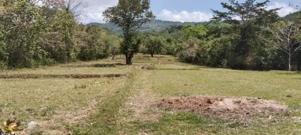 Tanay Rizal Lot 16 Hectares P350 per sqm. NET Clean Title, Property ...