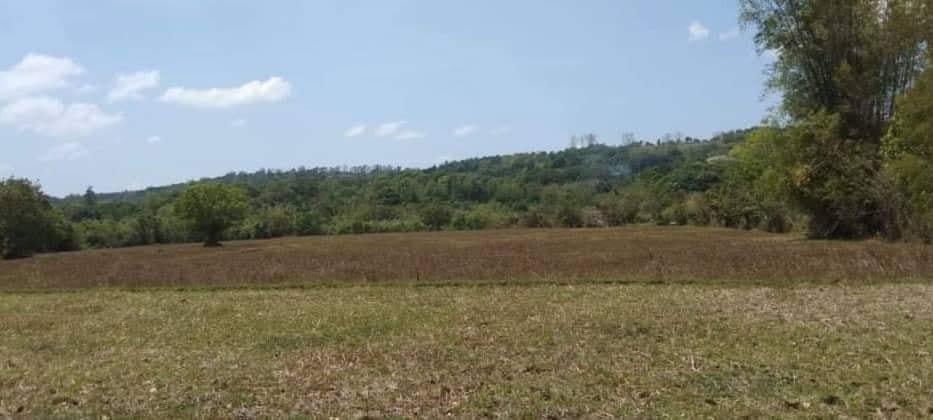 Tanay Rizal Lot 16 Hectares P350 per sqm. NET Clean Title, Property ...