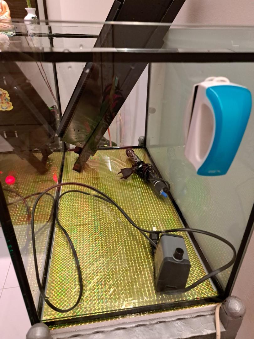 2 feet fish tank, Pet Supplies, Homes & Other Pet Accessories on Carousell