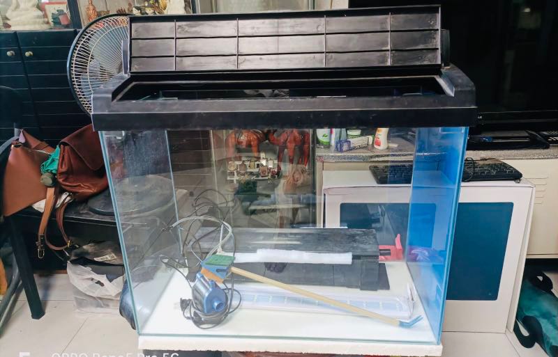 FULL SET 2 Feet x 1.5 Feet Fish Tank with Accessories, Pet Supplies ...