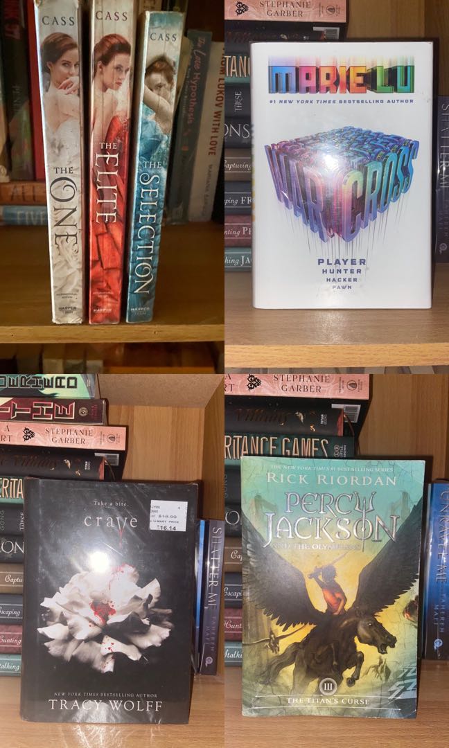 Booktok Bundle, Hobbies & Toys, Books & Magazines, Fiction & Non ...