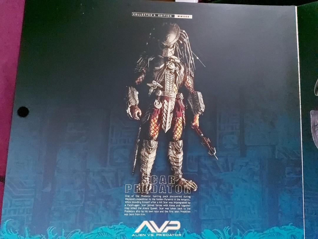 Rare Hot Toys Scar Predator, Hobbies & Toys, Memorabilia & Collectibles ...