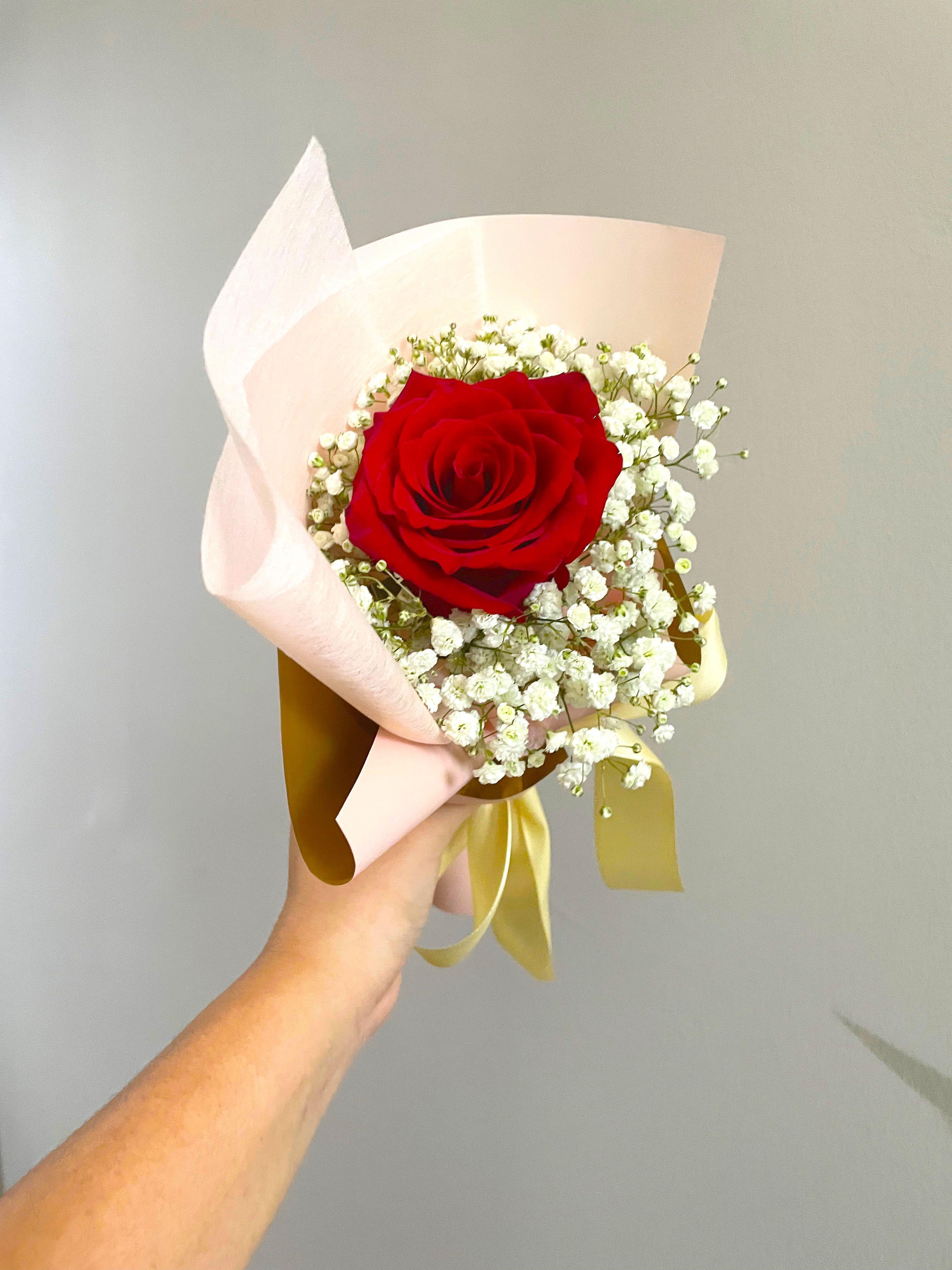 Stunning Red and Pink Rose Bouquet, Hobbies & Toys, Stationery & Craft ...