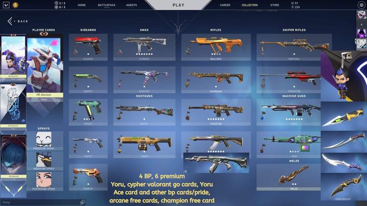 WTT valorant acc, Video Gaming, Gaming Accessories, In-Game Products on ...