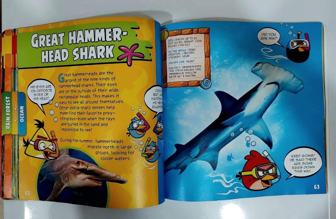 Angry Birds Playground Animals Book, Hobbies & Toys, Books & Magazines ...