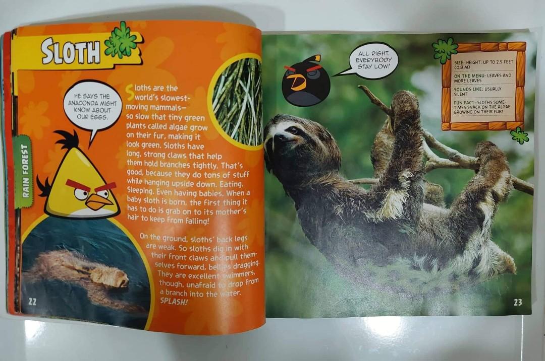 Angry Birds Playground Animals Book, Hobbies & Toys, Books & Magazines ...