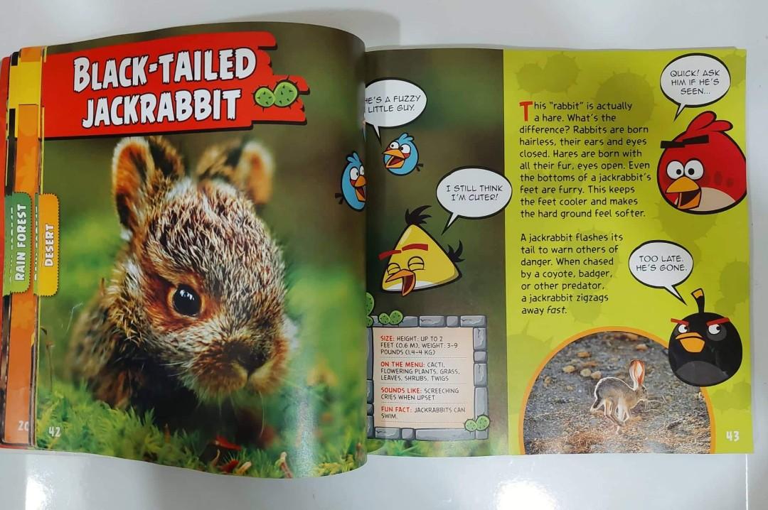 Angry Birds Playground Animals Book, Hobbies & Toys, Books & Magazines ...
