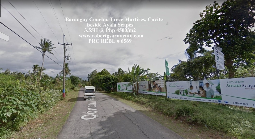 Barangay Conchu, Trece Martires, Cavite, Property, For Sale, Lot on ...