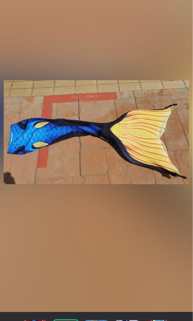 Blue Dory Mermaid Tail, Women's Fashion, Swimwear, Bikinis & Swimsuits ...