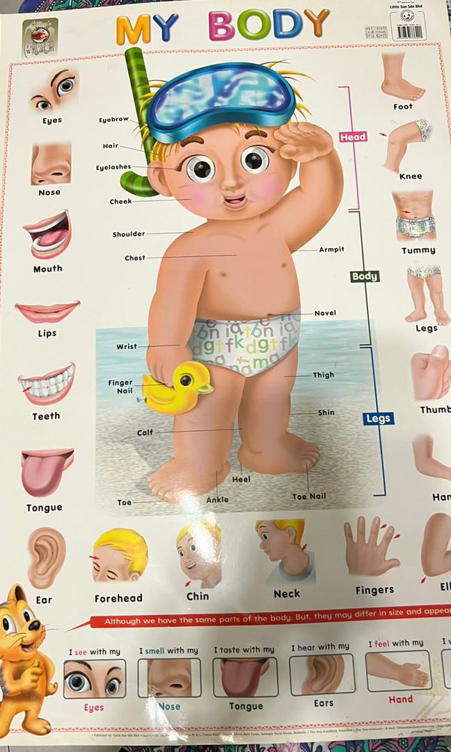 Learning kids charts, Hobbies & Toys, Stationery & Craft, Stationery ...