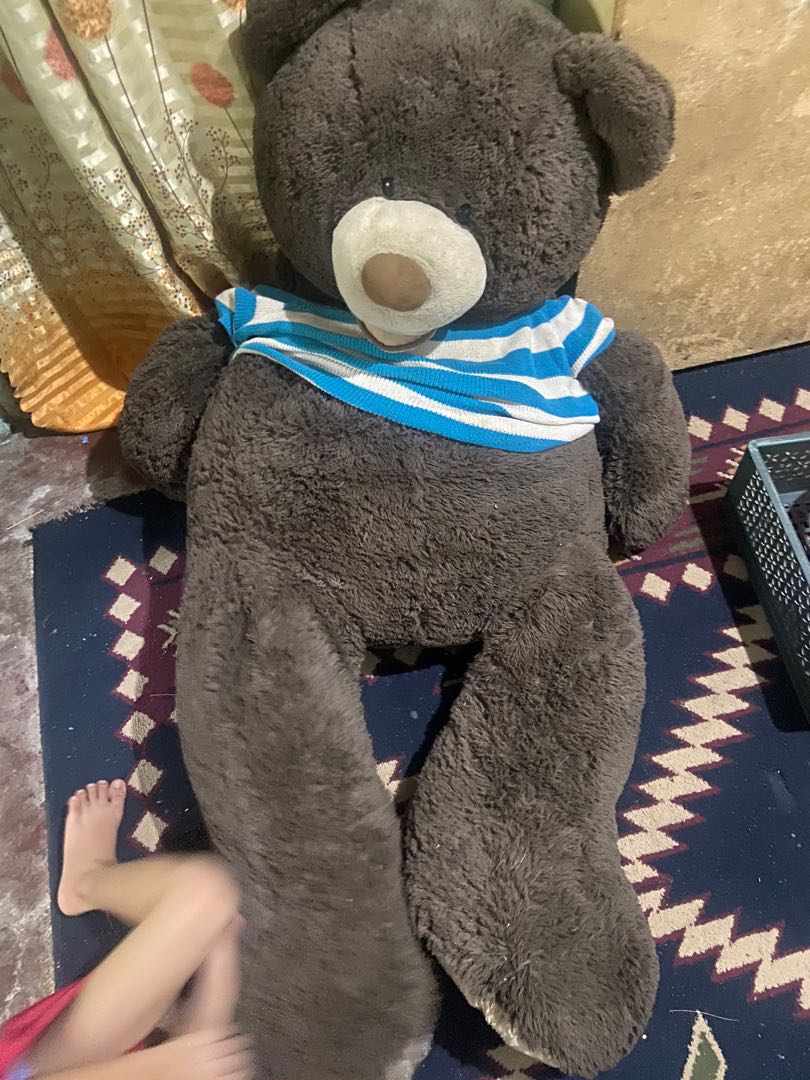Life size teddy bear, Hobbies & Toys, Toys & Games on Carousell