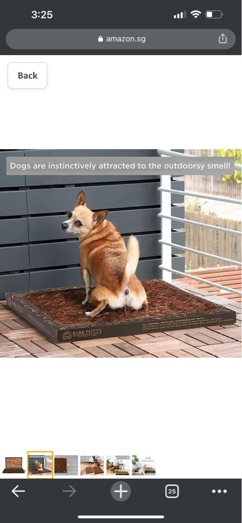 Bark Potty pee box, Pet Supplies, Homes & Other Pet Accessories on ...