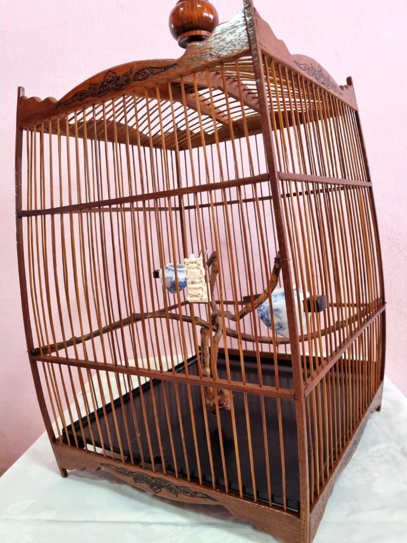 Jambul Bird Cage, Pet Supplies, Homes & Other Pet Accessories on Carousell