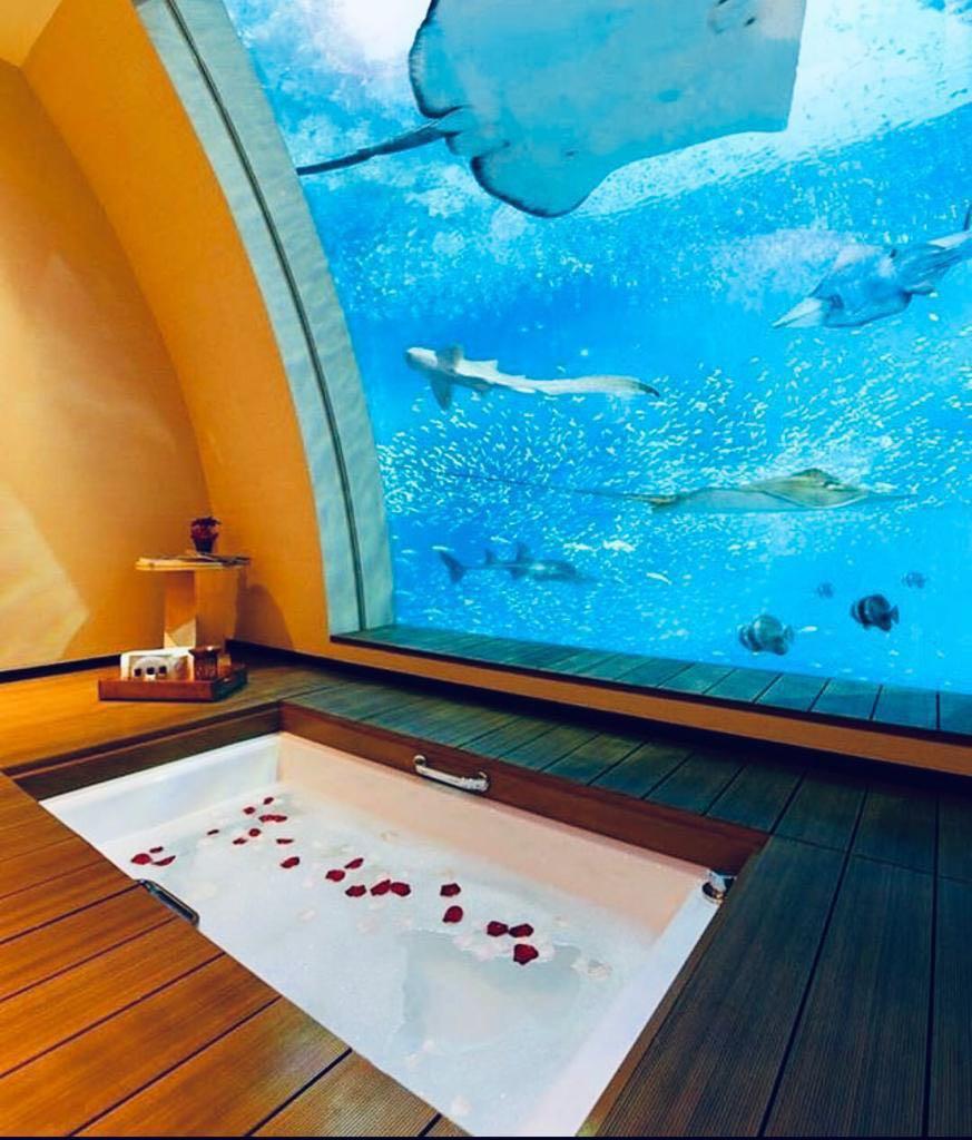 MBS & RWS Hotel Staycation (Hardrock, Hotel Ora, Equarius, Hotel Ora ...