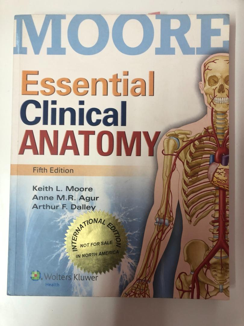 MOORE essential clinical anatomy, Hobbies & Toys, Books & Magazines ...