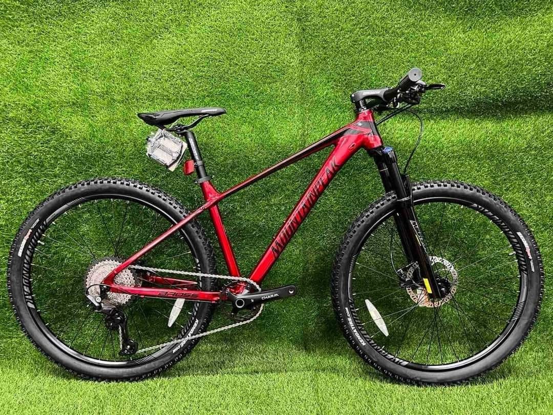 MOUNTAINPEAK BROSS 1X11, Sports Equipment, Bicycles & Parts, Bicycles ...