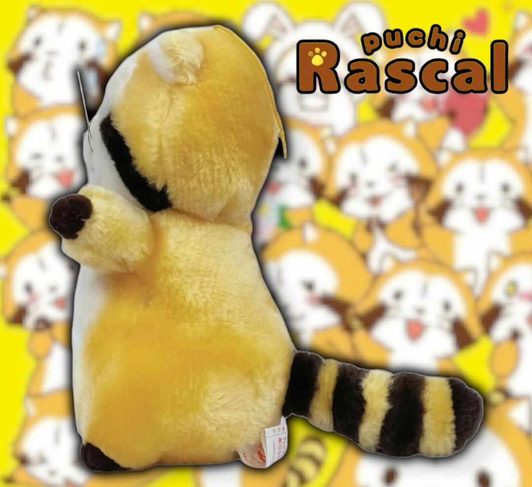 Puchi Rascal the Racoon stuffed toy, Hobbies & Toys, Toys & Games on ...