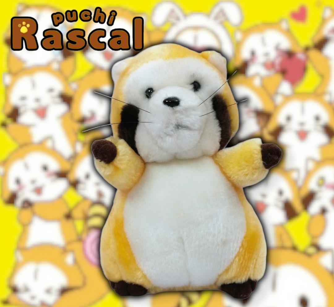 Puchi Rascal the Racoon stuffed toy, Hobbies & Toys, Toys & Games on ...