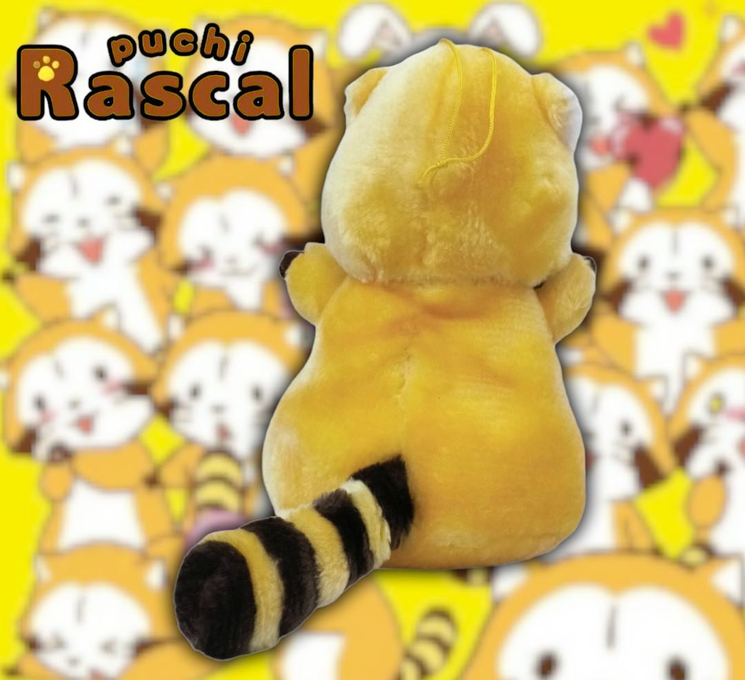 Puchi Rascal the Racoon stuffed toy, Hobbies & Toys, Toys & Games on ...