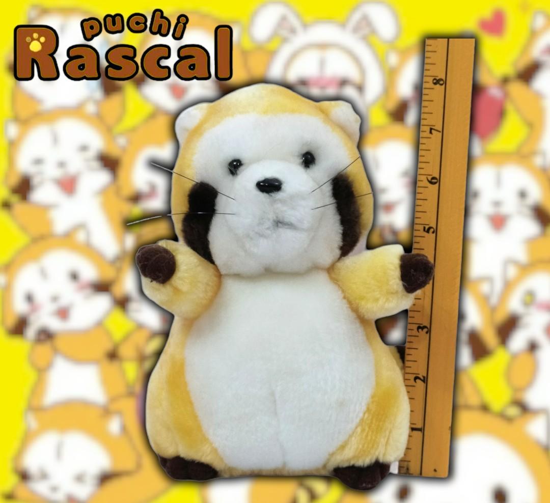 Puchi Rascal the Racoon stuffed toy, Hobbies & Toys, Toys & Games on ...