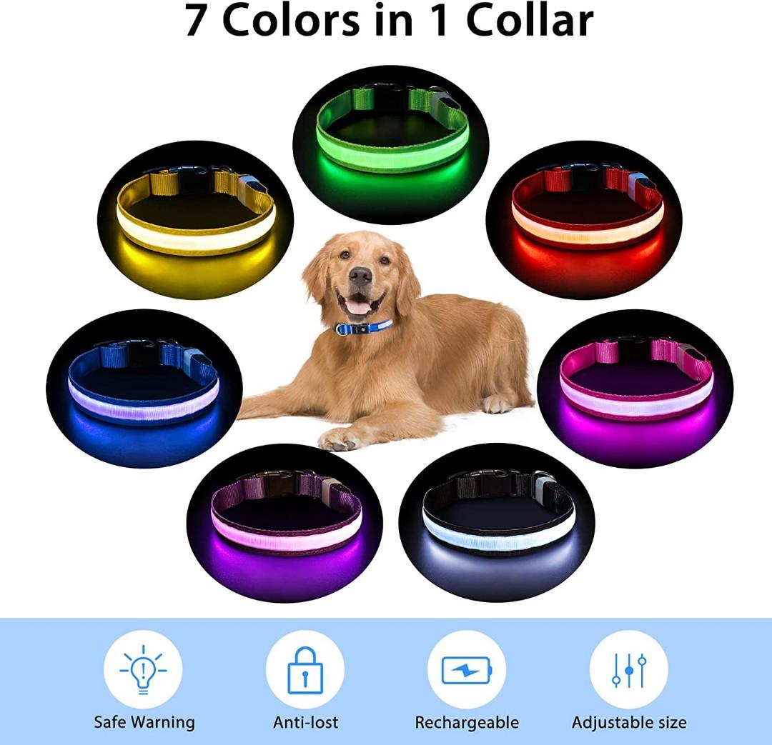 Lighted Dog Collars Waterproof | Shelly Lighting