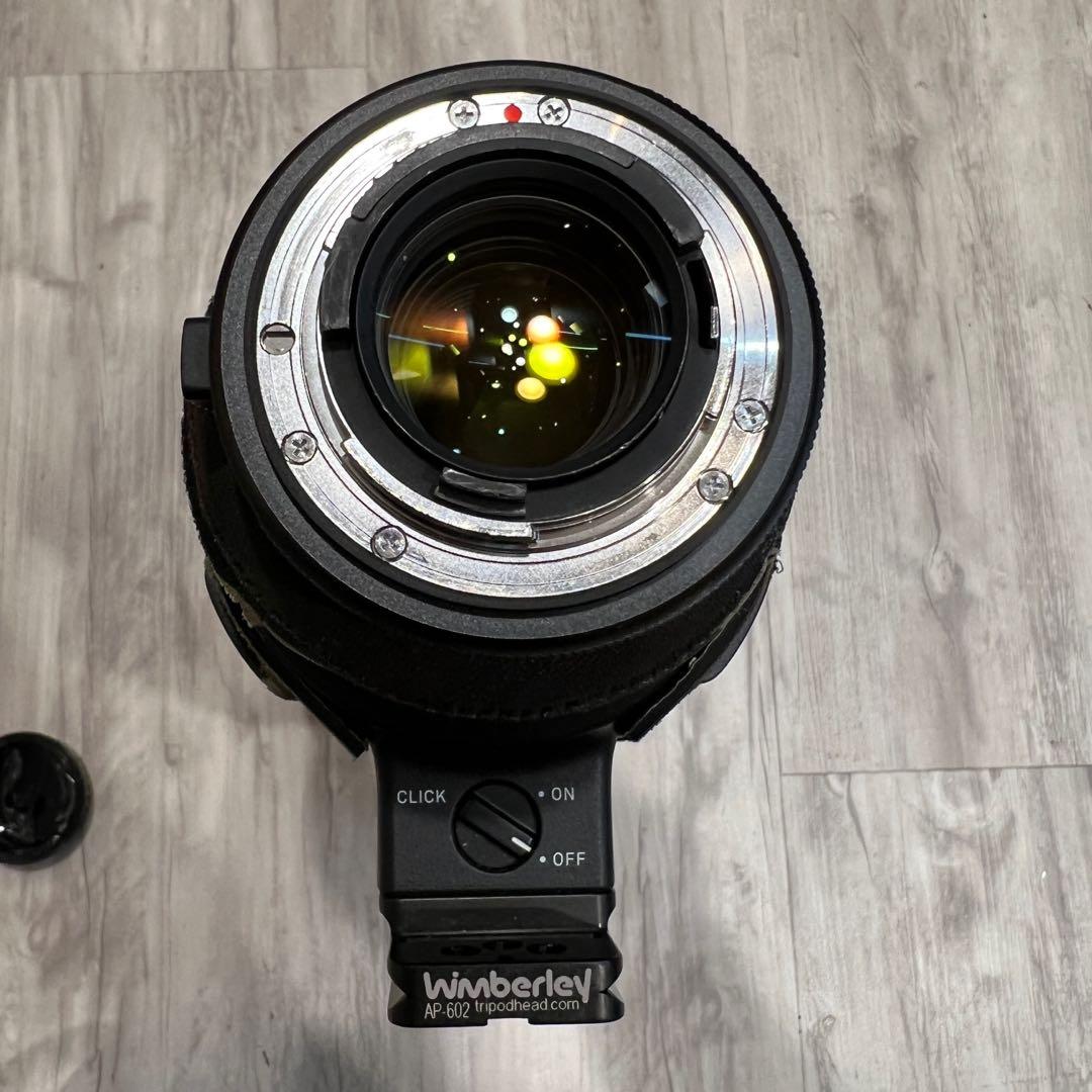 Sigma 500 F4 DG OS HSM Sport with 1.4x tc (F mount), Photography, Lens ...