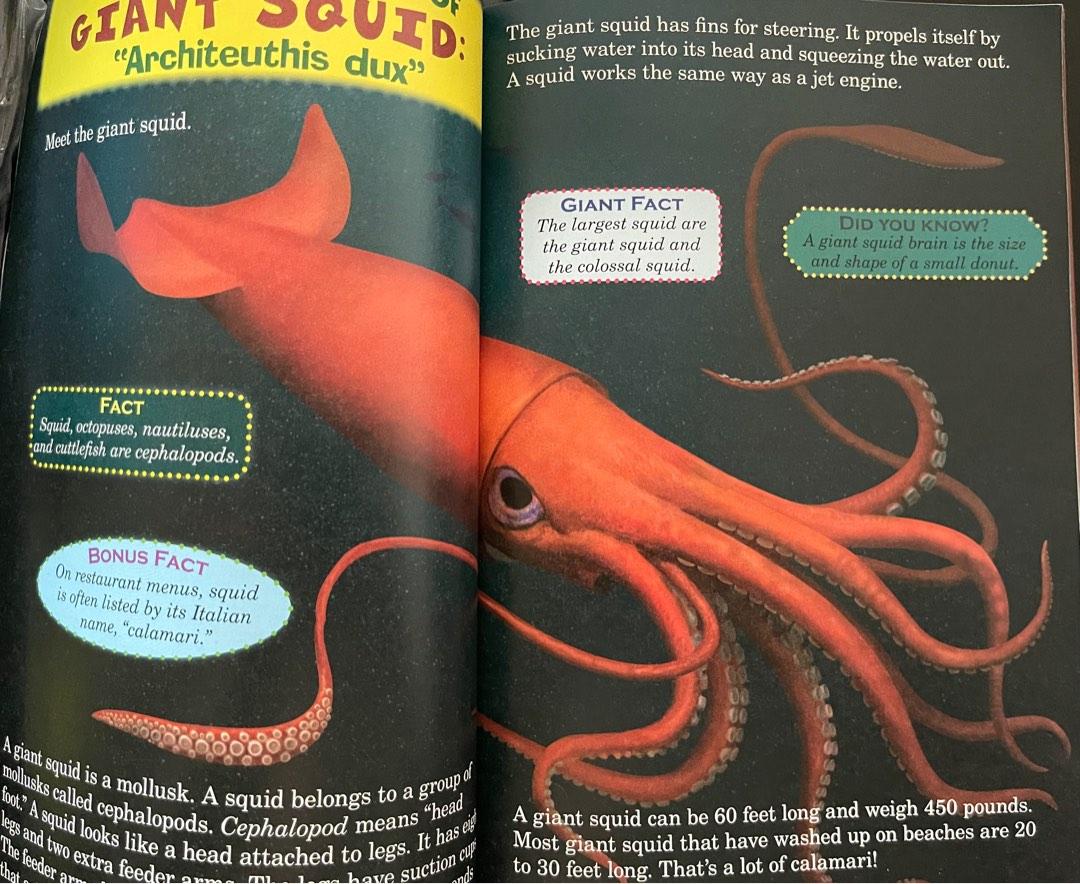 Who Would Win? Whale VS Giant Squid, 興趣及遊戲, 書本 & 文具, 小朋友書 - Carousell