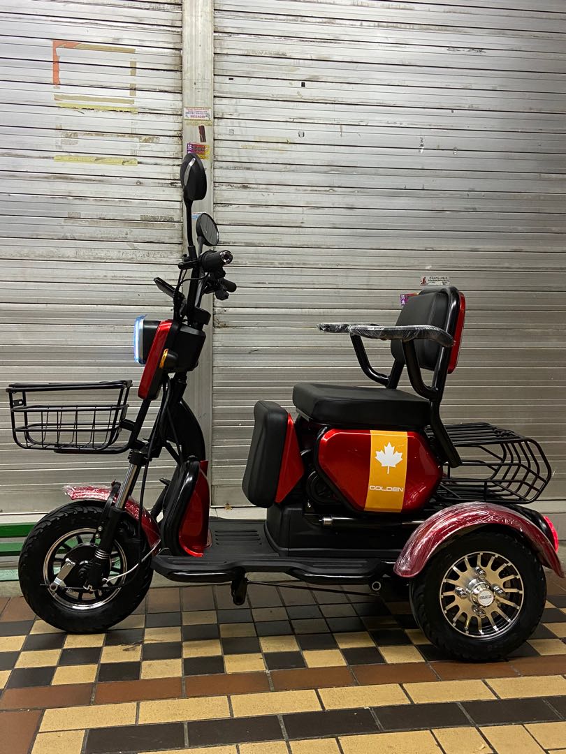 48v20ah PMA /Ebike, Sports Equipment, PMDs, E-Scooters & E-Bikes, E ...
