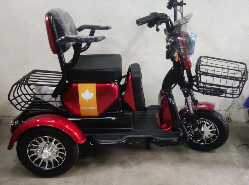 48v20ah PMA /Ebike, Sports Equipment, PMDs, E-Scooters & E-Bikes, E ...