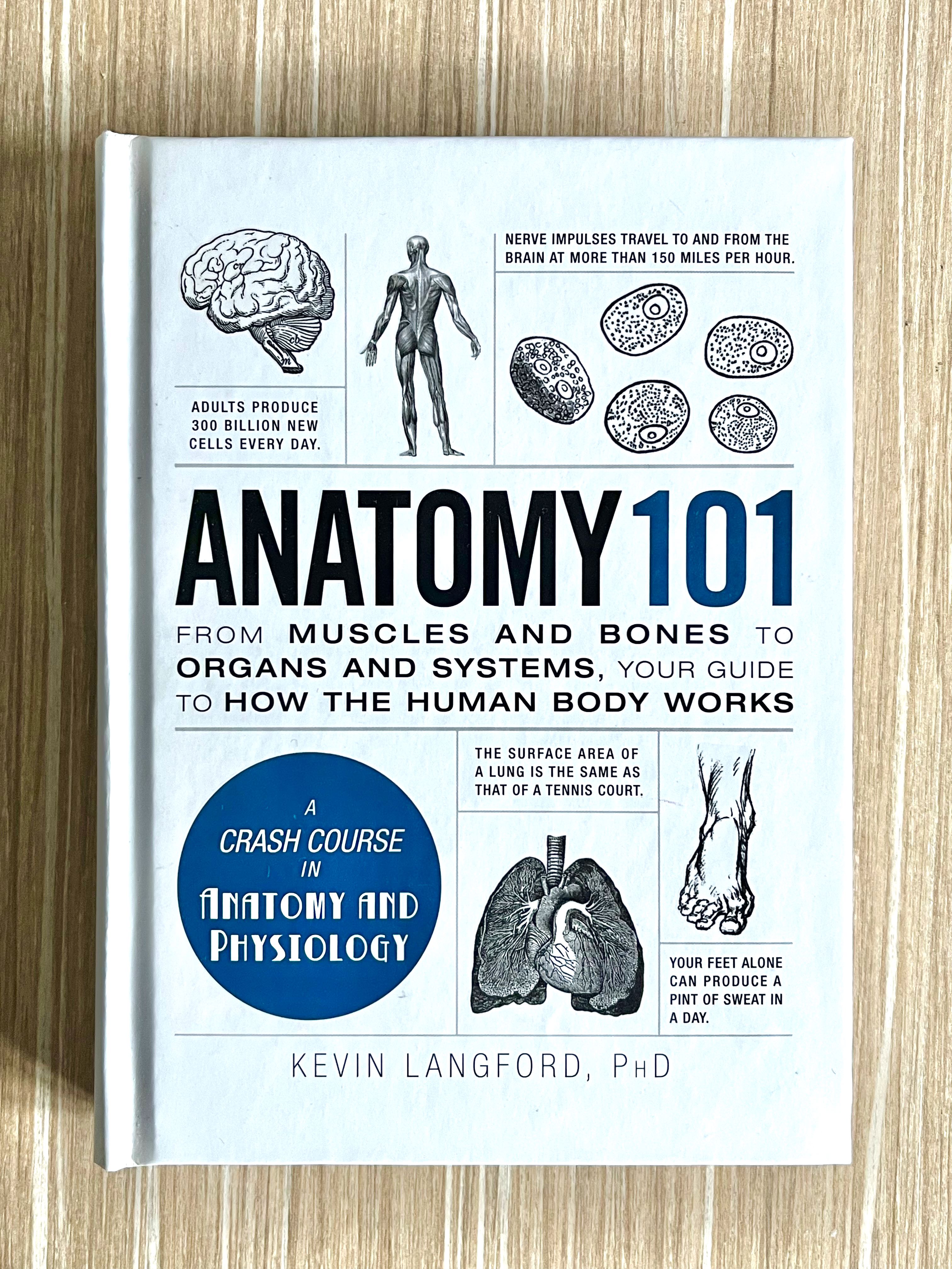 Anatomy 101 & Physiology book by Kevin Langford (hard cover), Hobbies ...