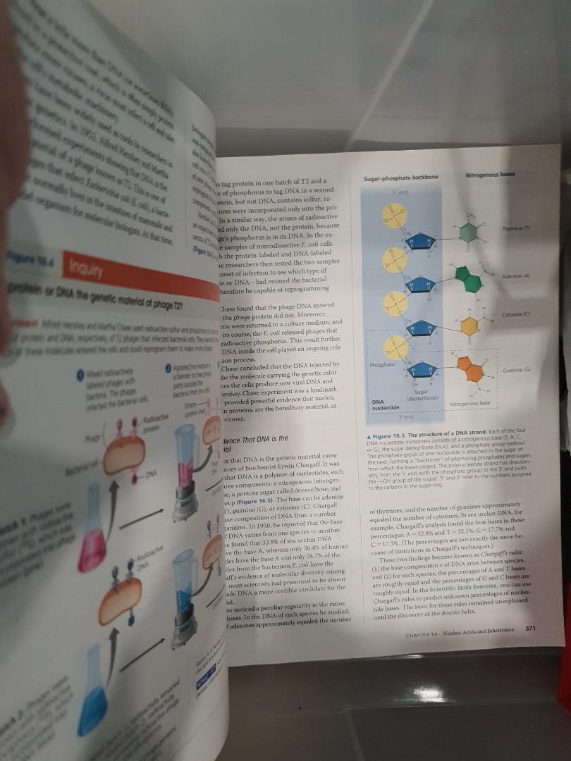 Campbell Biology Textbook, Hobbies & Toys, Books & Magazines, Textbooks ...