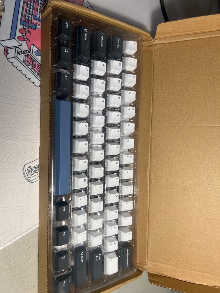 PBT (OEM) Arctic Circle Keycaps, Computers & Tech, Parts & Accessories ...