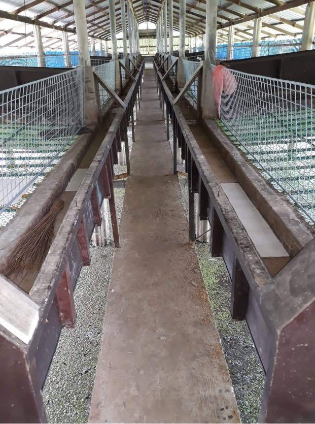 Rest house - Poultry Farm, Property, For Sale, House & Lot on Carousell