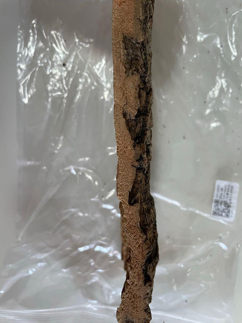 Set of 2 Tree bark board for orchids (10cm x 30cm), Furniture & Home ...