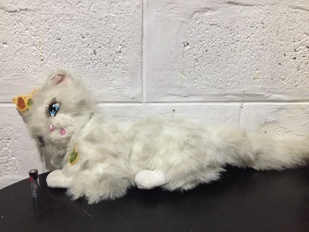 Barbie Cat, Hobbies & Toys, Toys & Games on Carousell