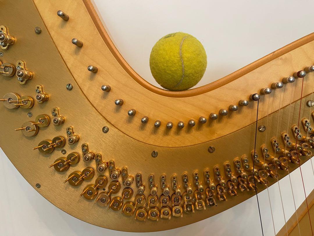 CAMAC Professional Concert 47 Strings Harp, Hobbies & Toys, Music ...
