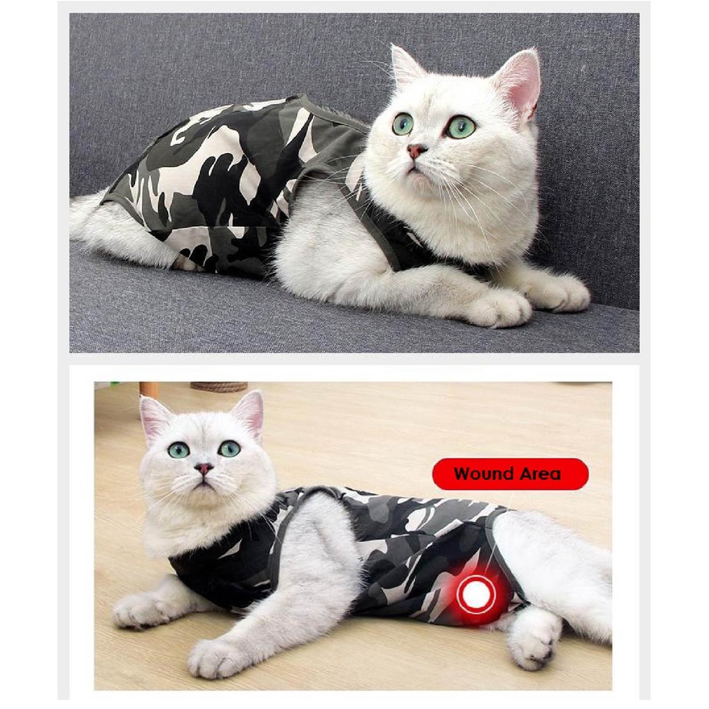 Cat Recovery Suit Anti Lick Camo Recovery Clothes After Surgical ...