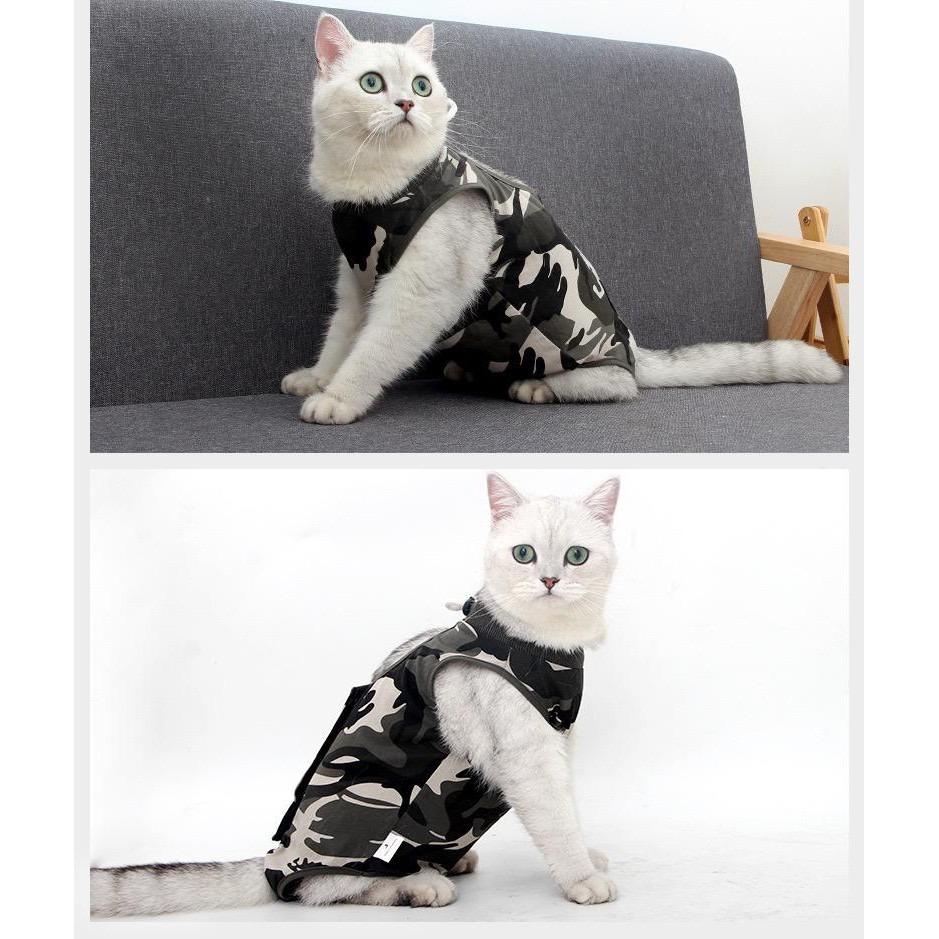 Cat Recovery Suit Anti Lick Camo Recovery Clothes After Surgical ...