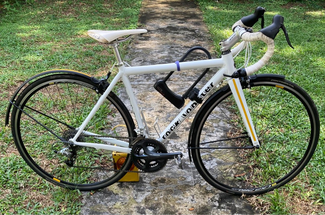 Custom Rock Lobster Aluminium Rim Brake Road Frameset 700c 48cm, Sports Equipment, Bicycles ...