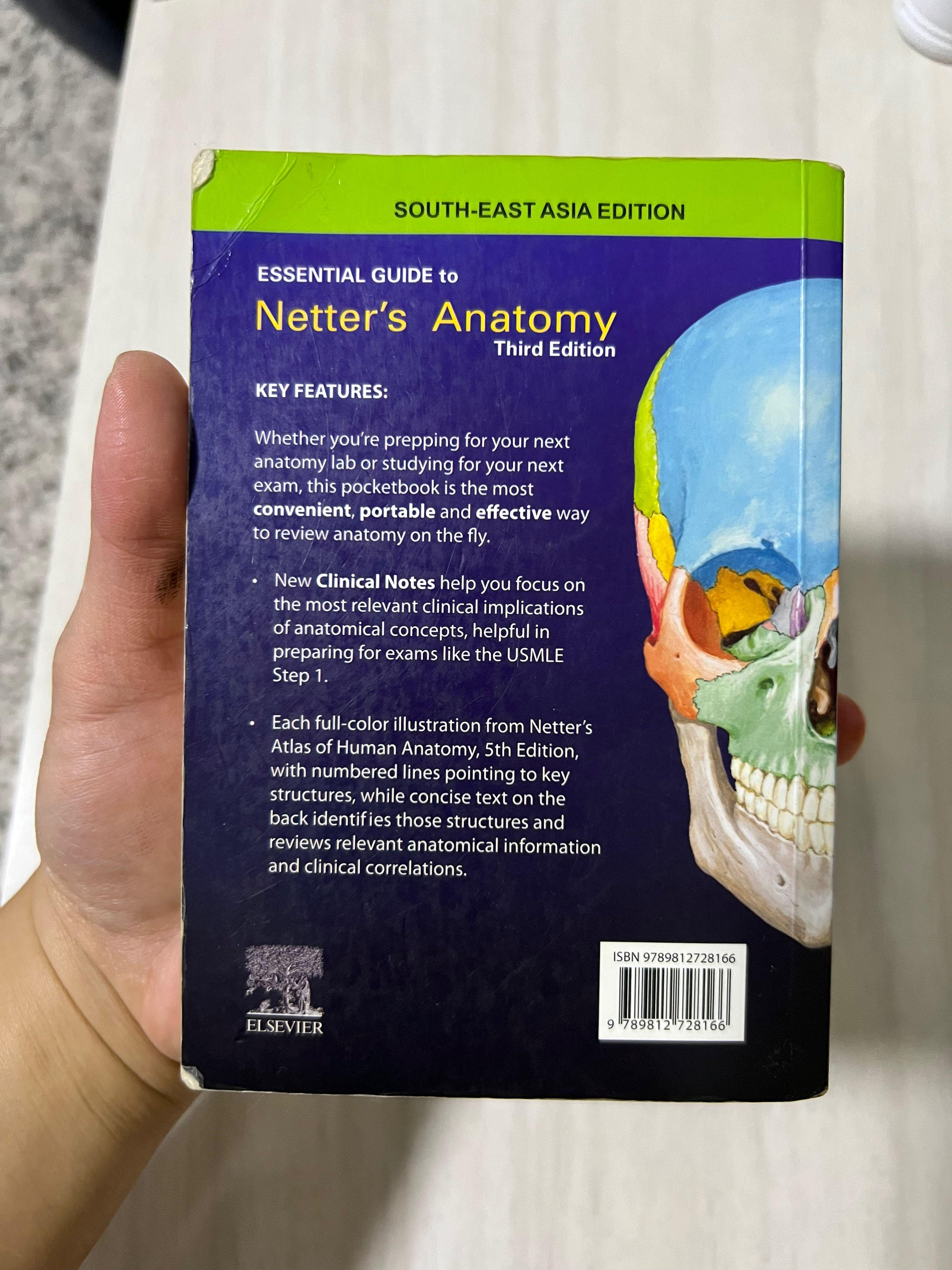 Essential Guide of Netter's Anatomy, Hobbies & Toys, Books & Magazines ...