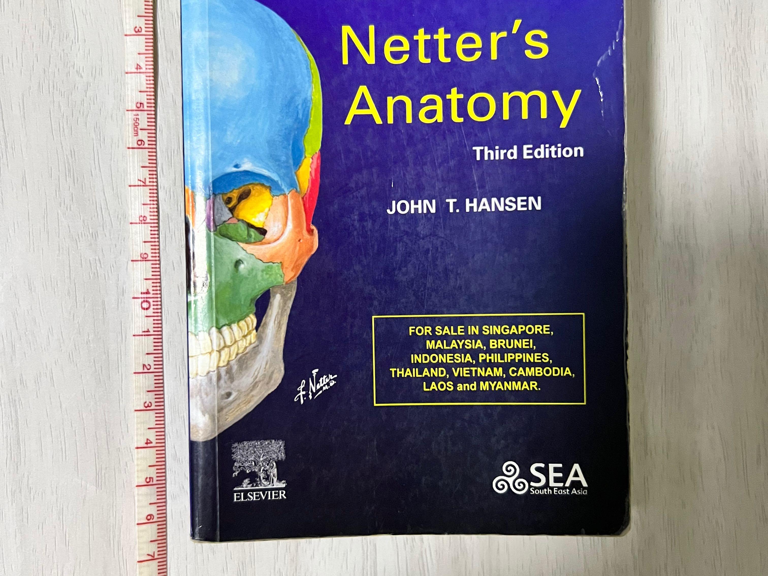 Essential Guide of Netter's Anatomy, Hobbies & Toys, Books & Magazines ...