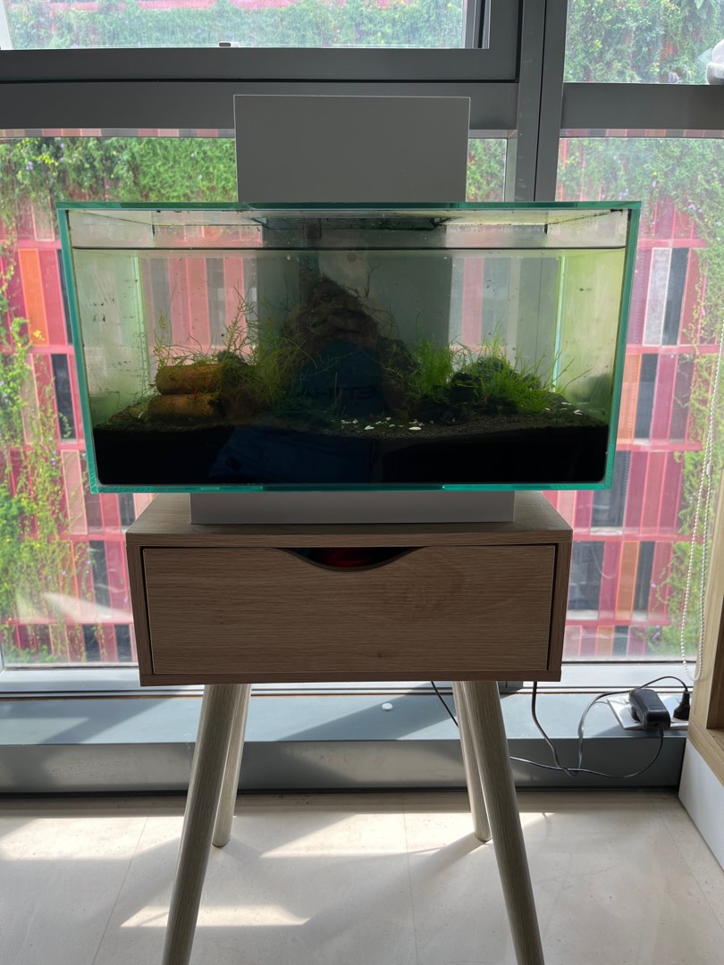 Fluval Tank, Sports Equipment, Fishing on Carousell