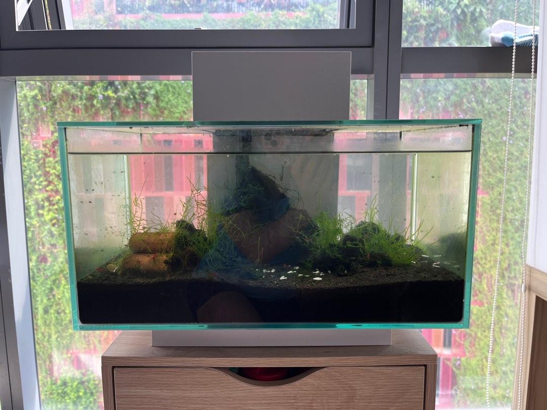 Fluval Tank, Sports Equipment, Fishing on Carousell